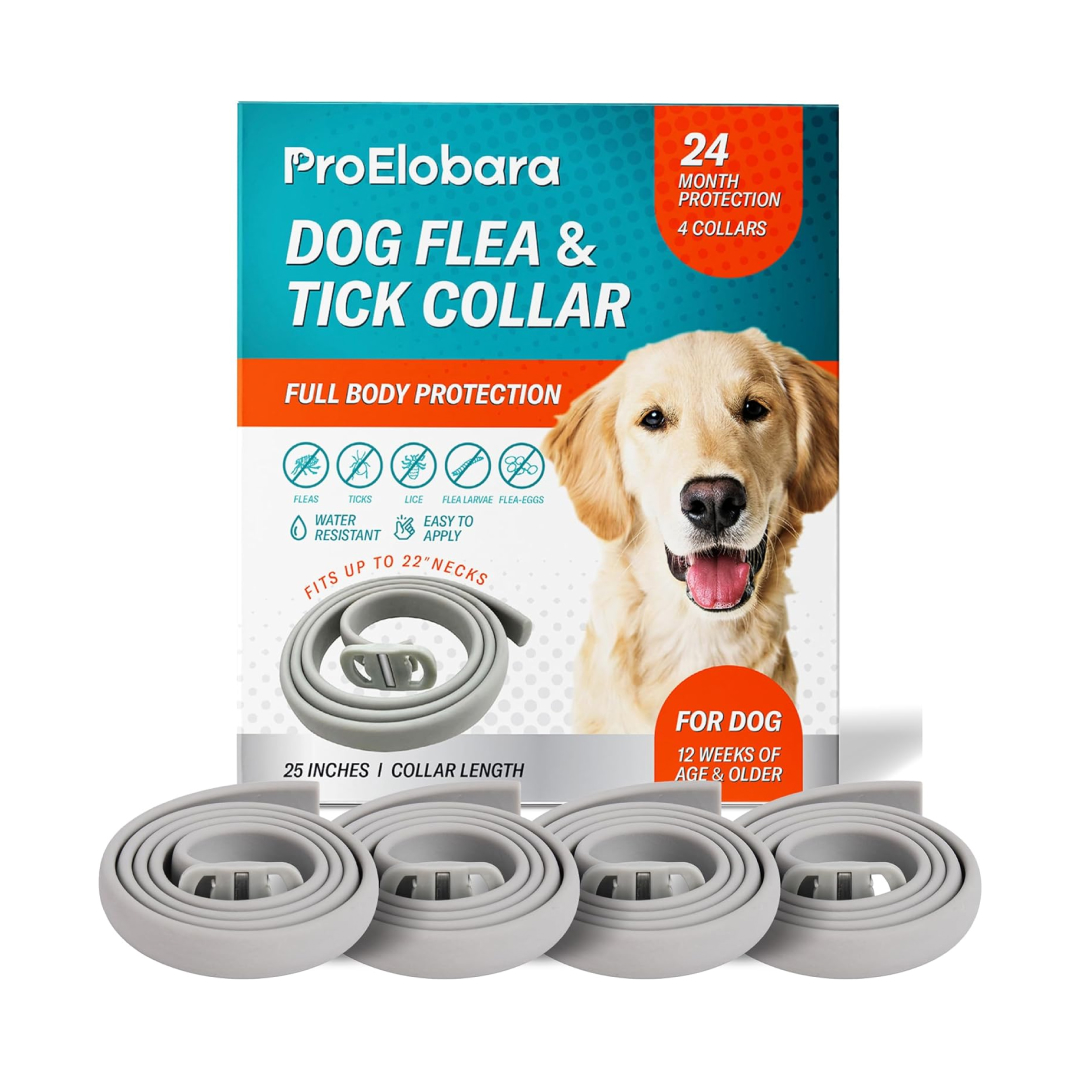 Top 5 Flea Collars in 2024 US – BestBuyPick Reviews