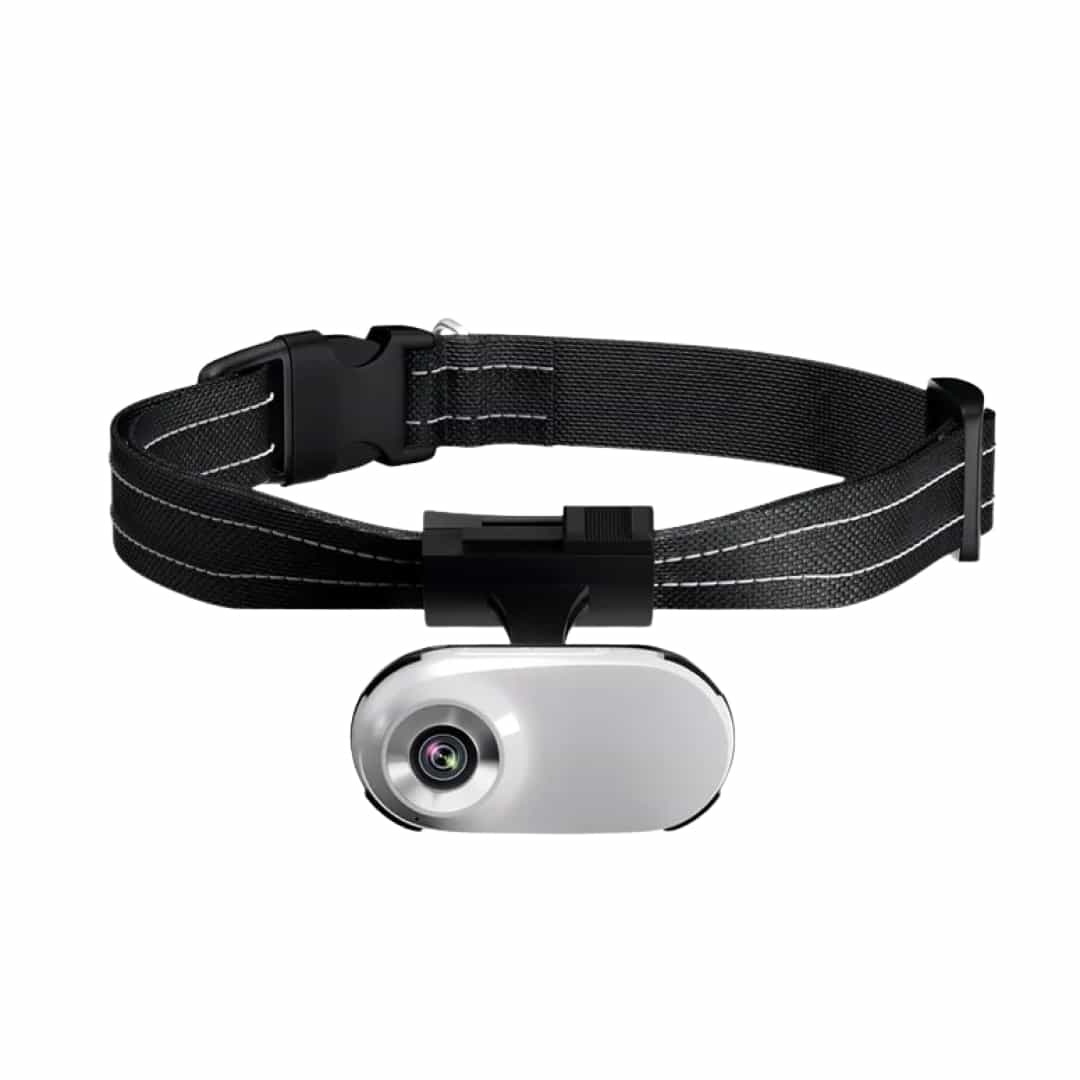 Top 5 Cat Collar Cameras in 2025 – BestBuyPick Reviews