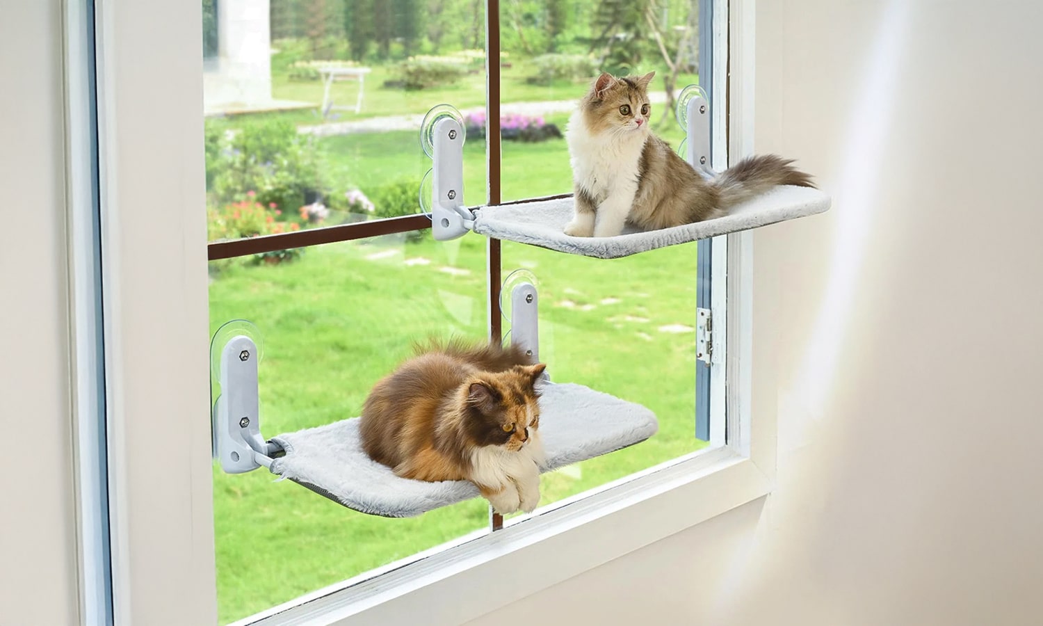 5 Best Cat Window Perches of 2025: Ultimate Comfort & Safety for Your ...